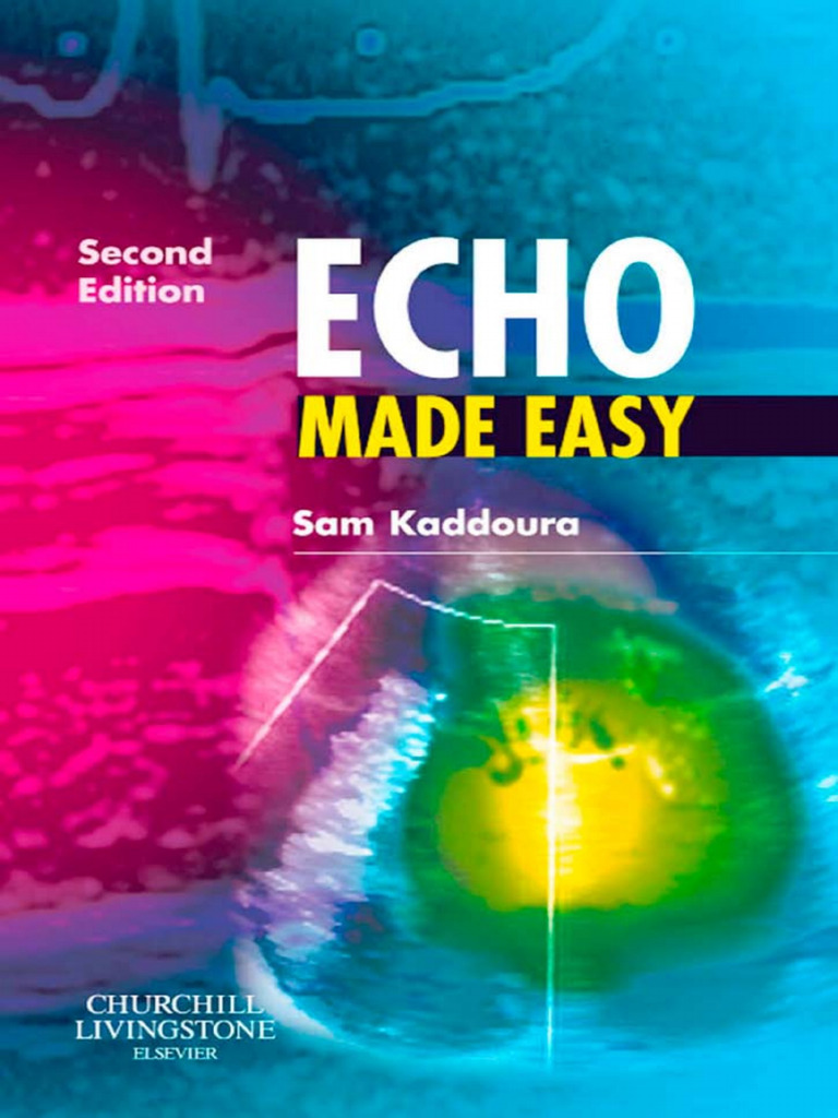 Easy Echo | PDF