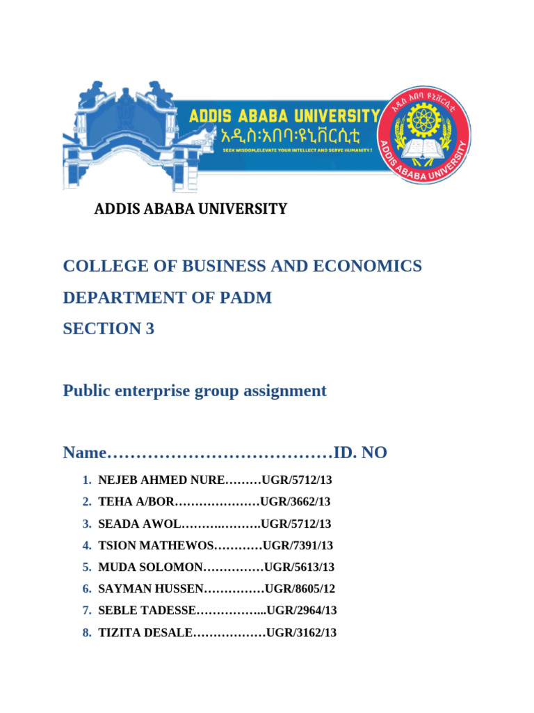 Public Enterprise Group Assignment | PDF | Governance | State Owned Enterprise