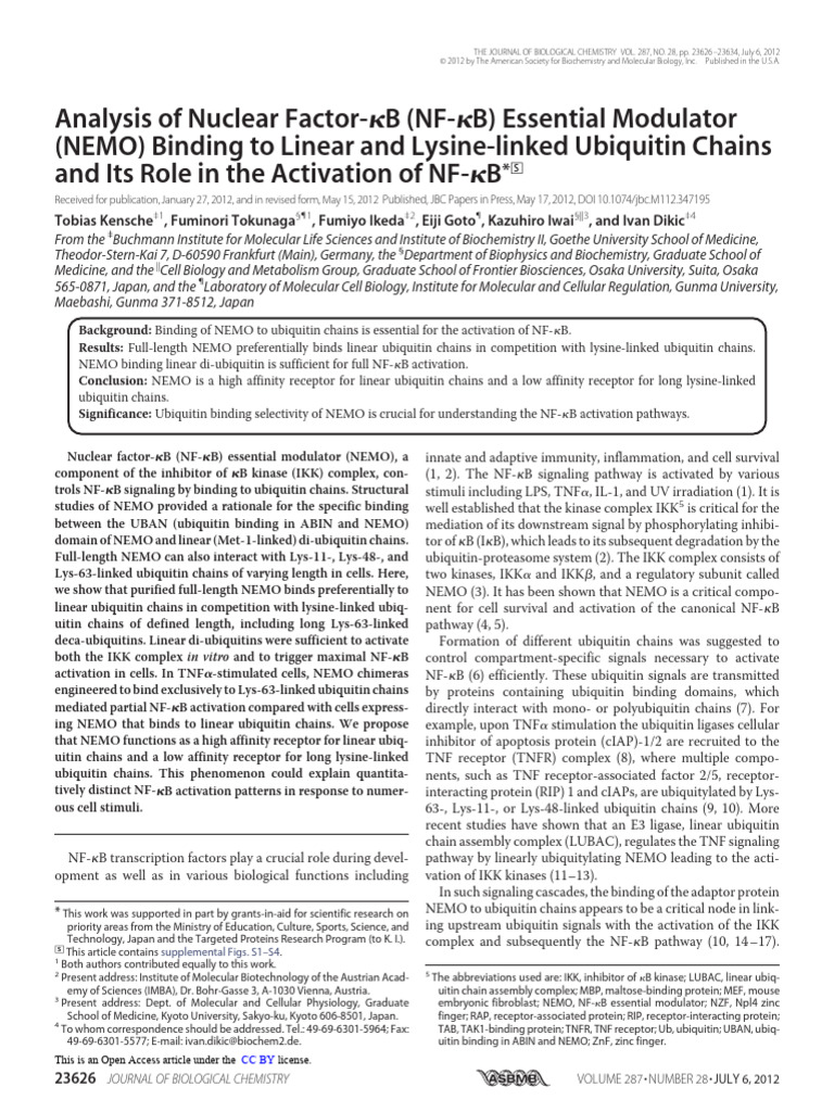 Analysis Of Nuclear Factor Kb Nf Kb Essential Modulator Nemo
