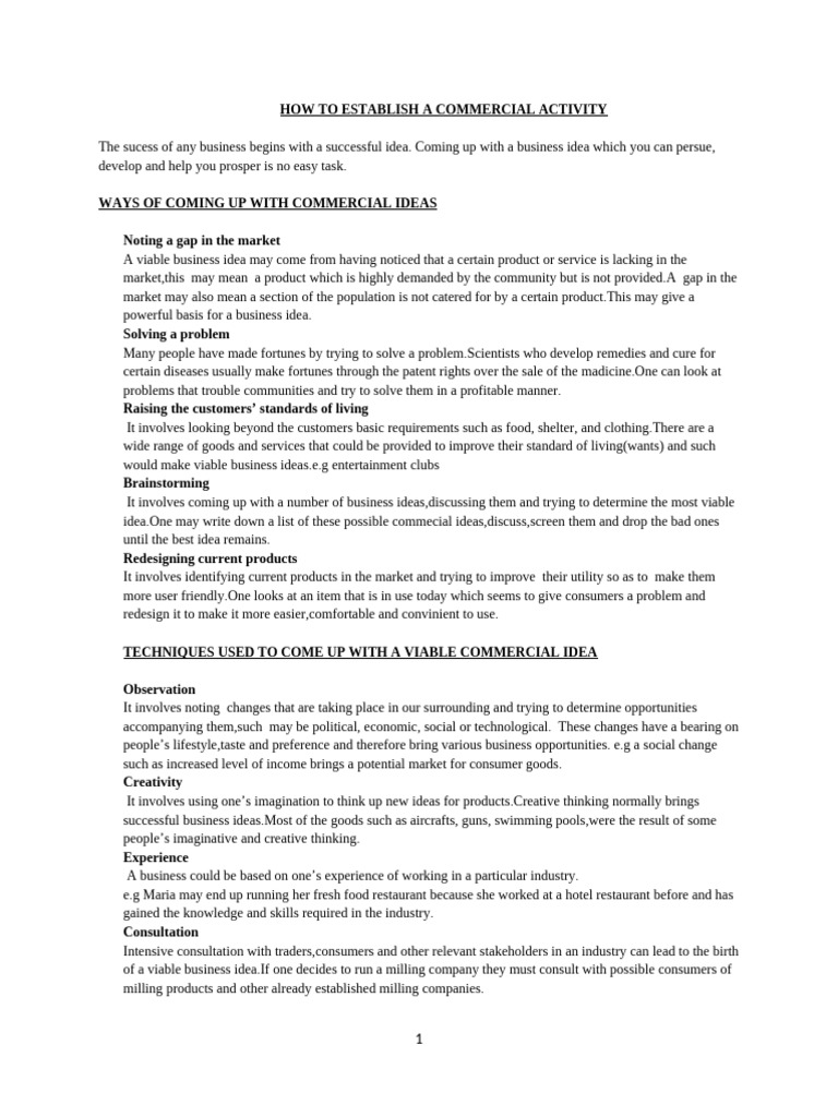 How To Establish A Commercial Activity | PDF
