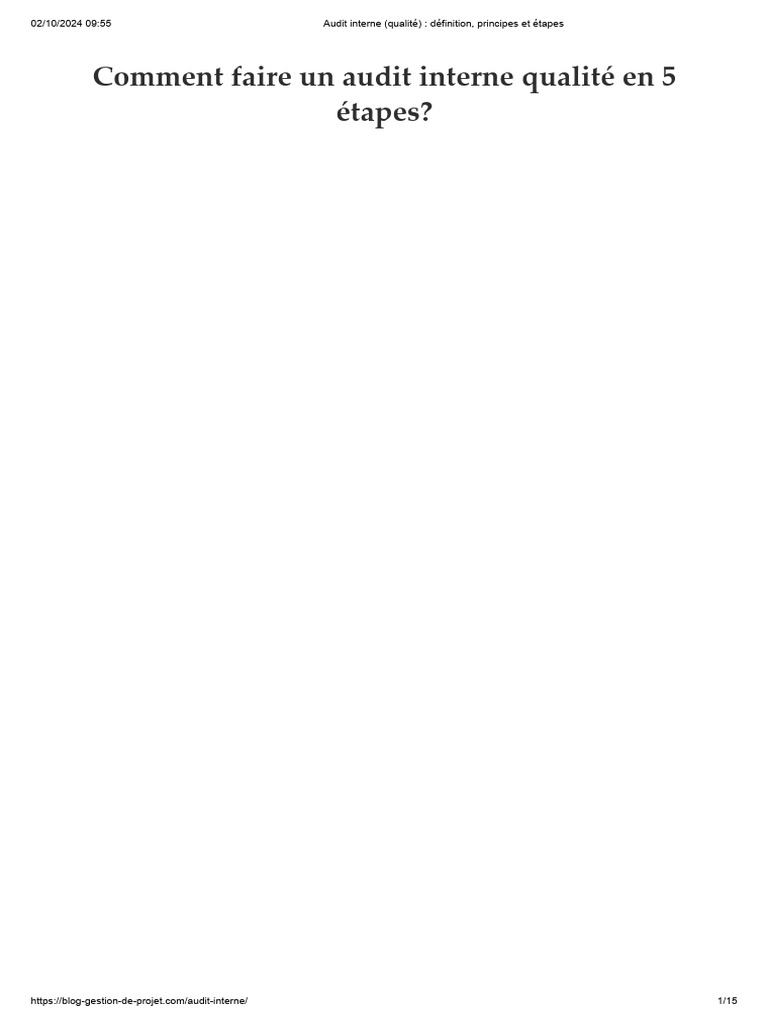Audit Interne (Qualité) - Définition, Principes Et Étapes | PDF