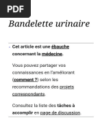 Interpretation de La Bandelette Urinaire | PDF | Urine | Médecine clinique