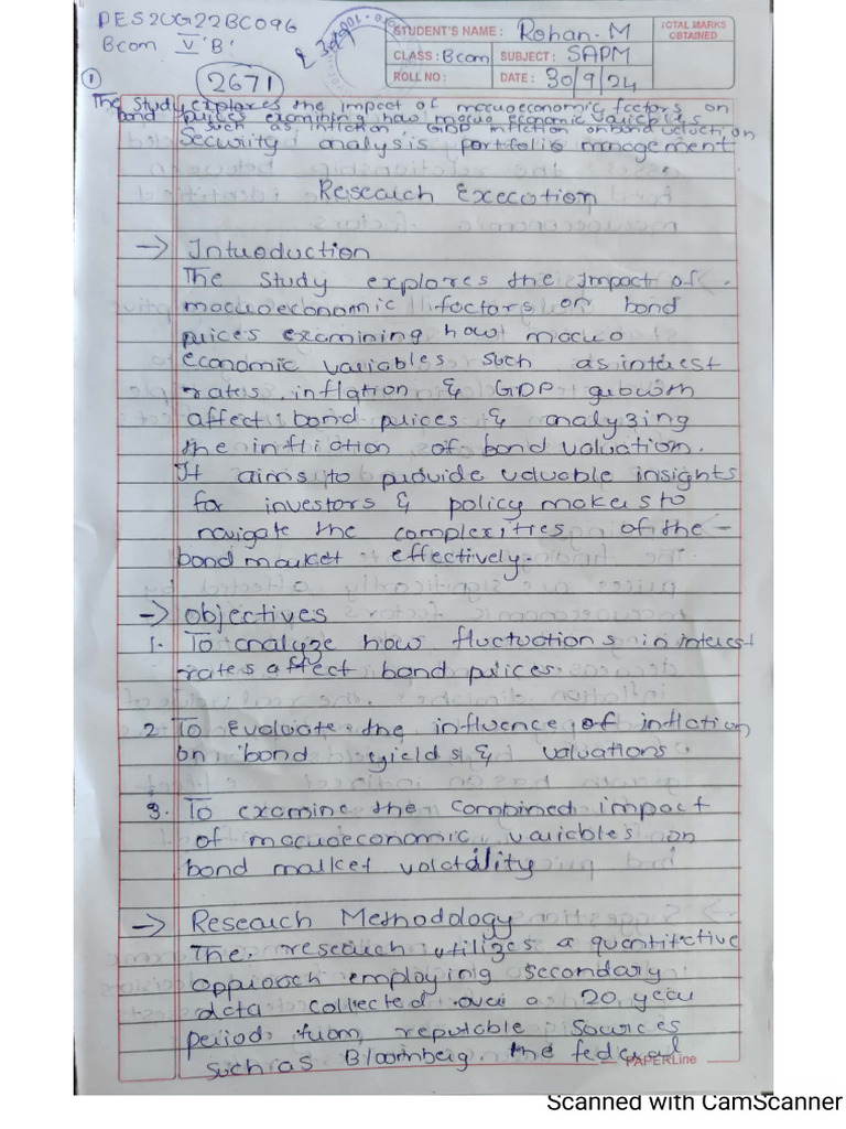 Sapm Rohan.m Mini Project | PDF