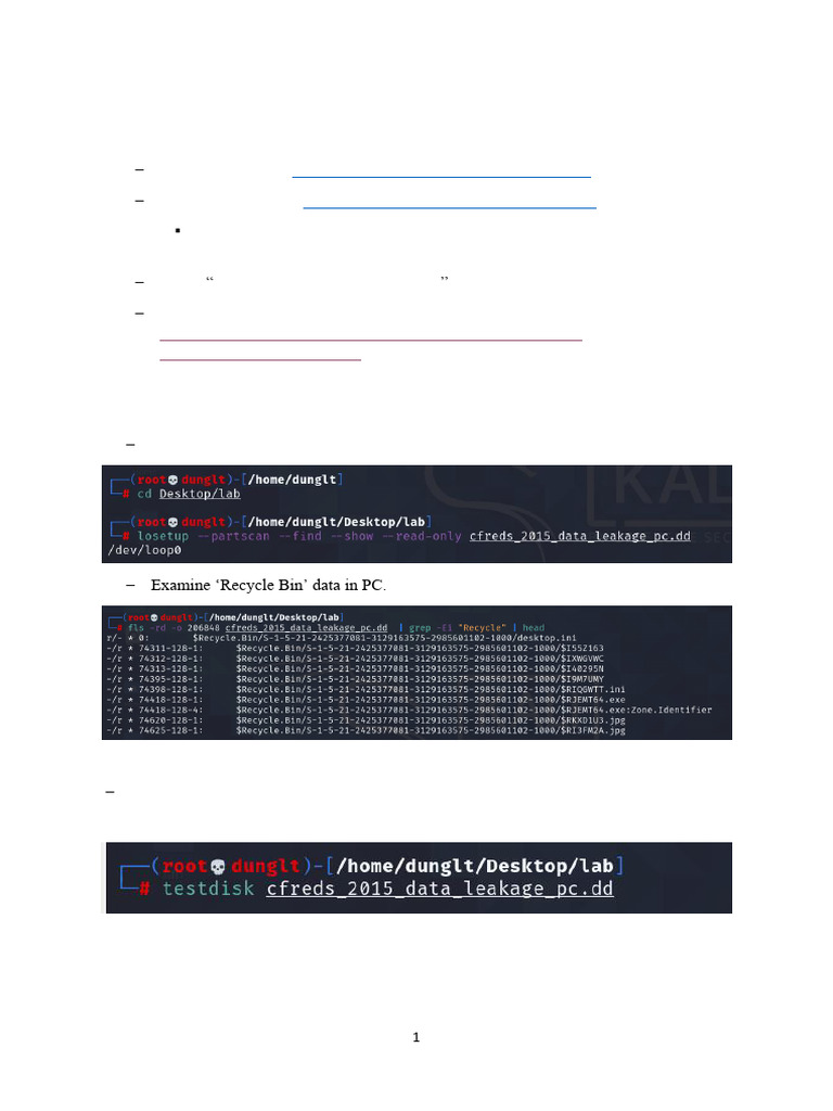 Lab 7-Recycle Bin and Anti-Forensics | PDF