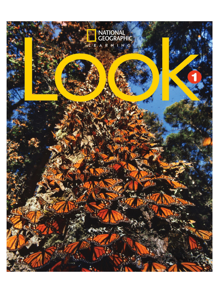 Look 1 - Lesson 1 | PDF
