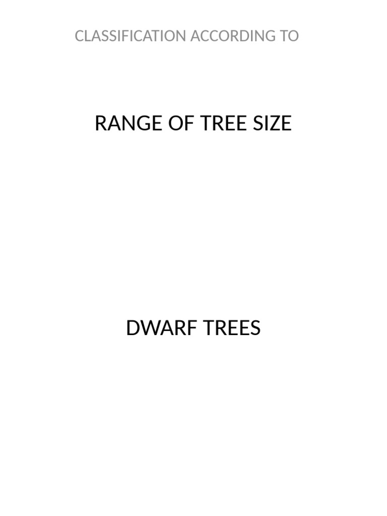 Range of Tree Size | PDF