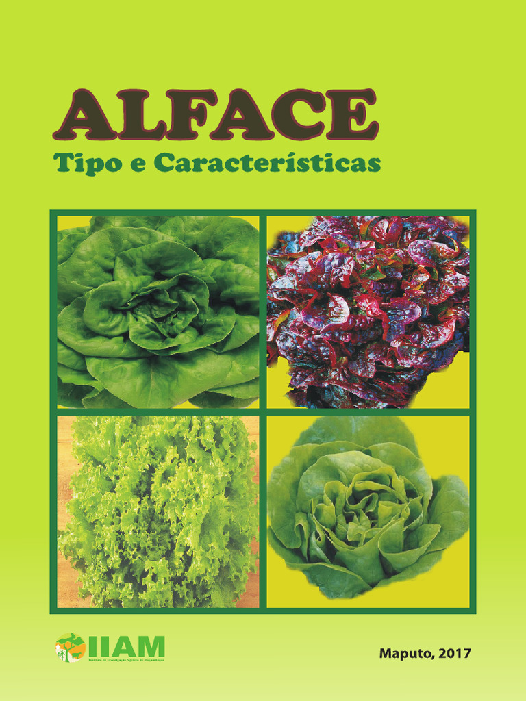 Manual de Alface (1) | PDF