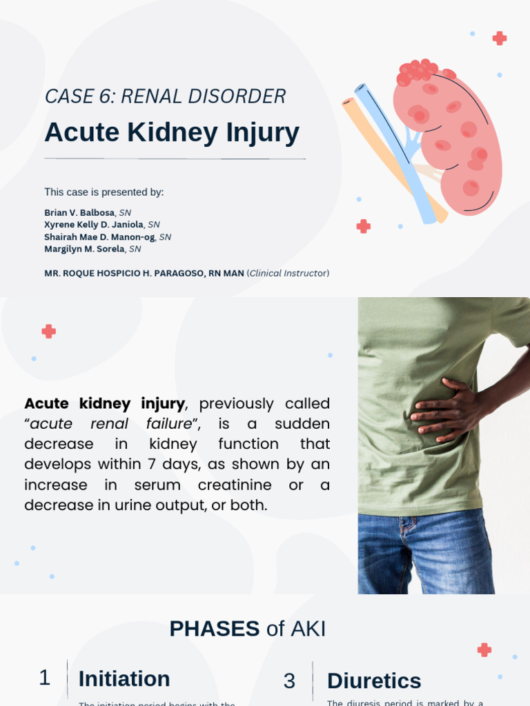 Acute Kidney Disease (AKI) | PDF | Kidney | Urology
