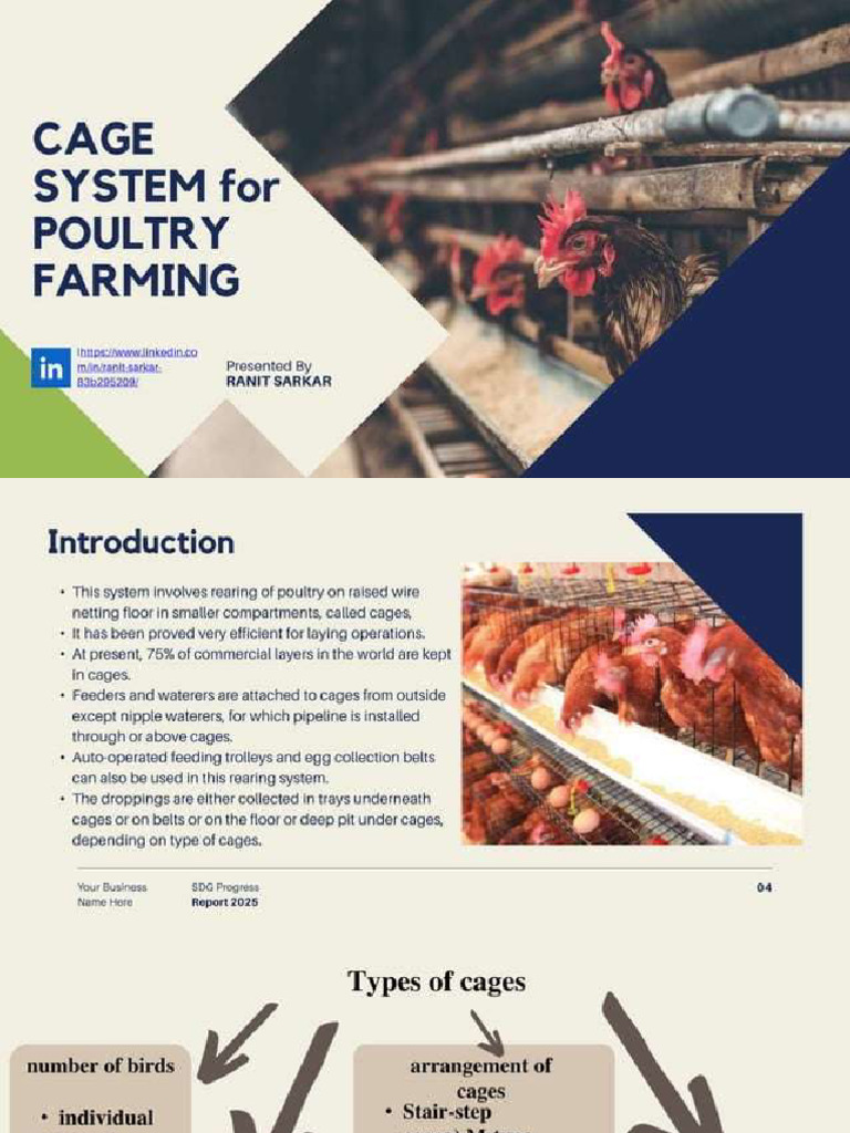Cage System for Poultry Farming | PDF