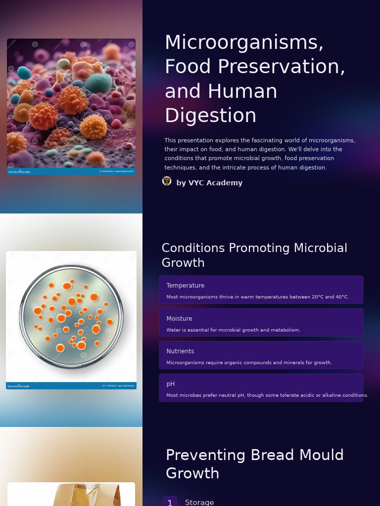 Microorganisms Food Preservation and Human Digestion | PDF