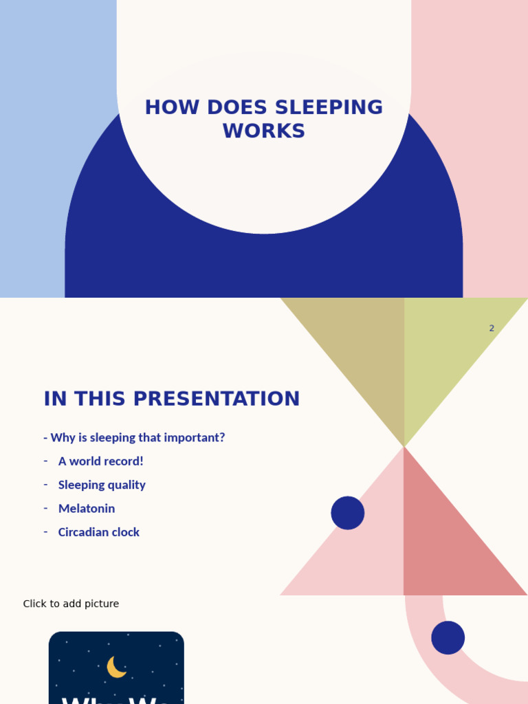Why Do We Sleep | PDF