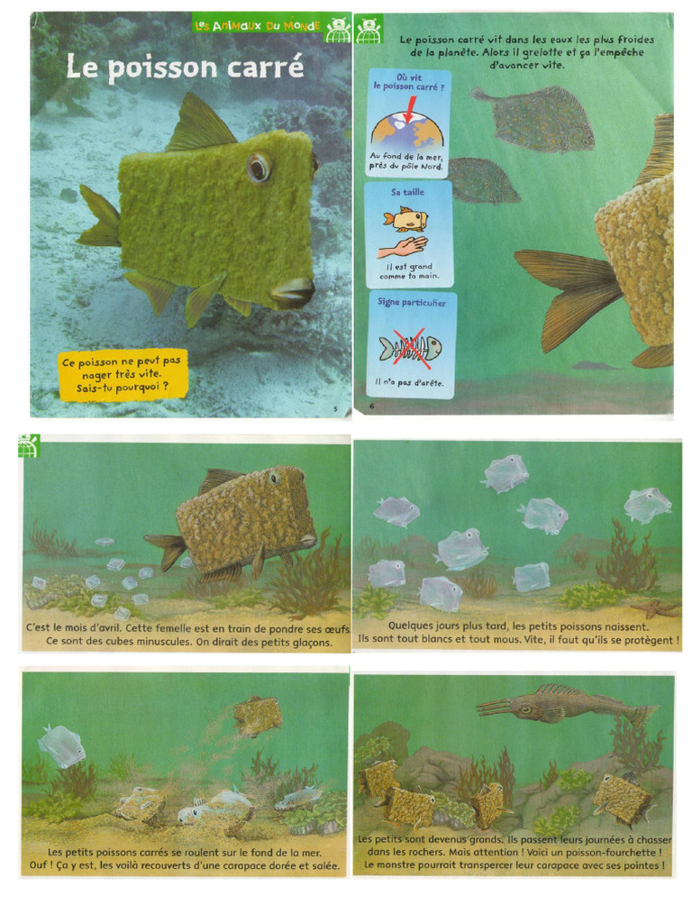 Lecture Poisson D Avril | PDF