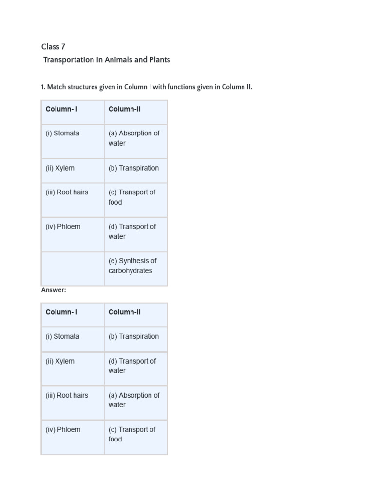 Class 7 Transportation | PDF