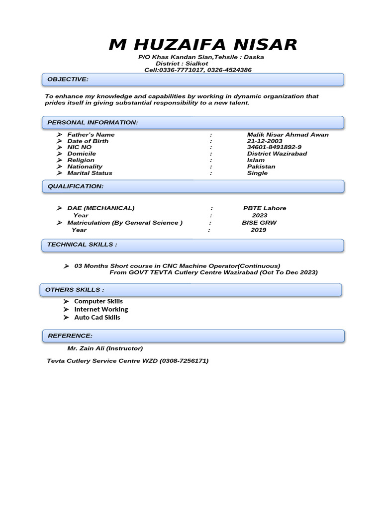 CV Format | PDF