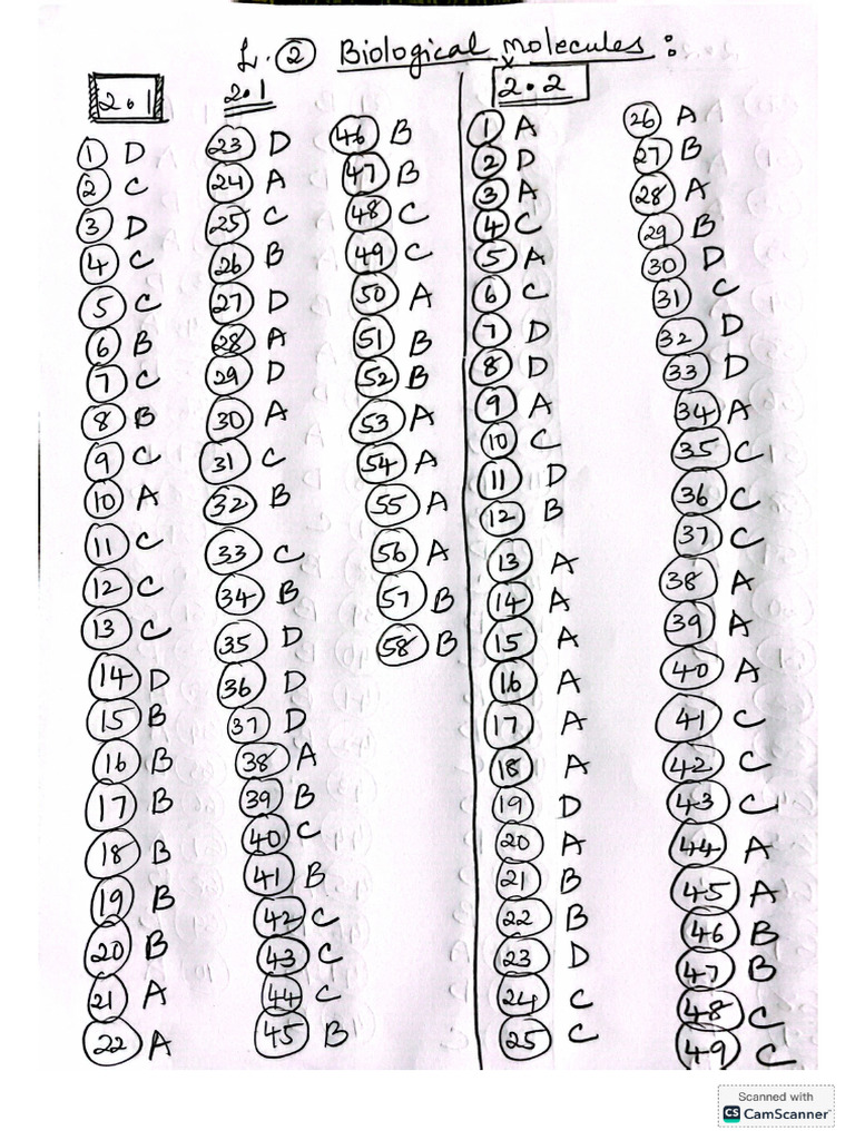 Answer Key - Biological Molecules- Paper | PDF