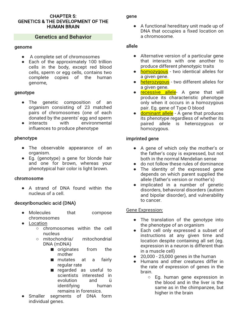 CHAPTER-5-Biopsych-Notes | PDF