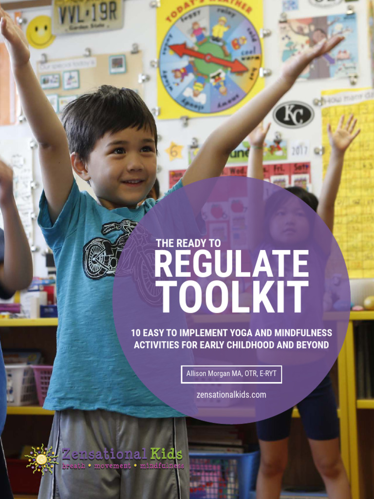 Regulate Toolkit Ebook | PDF