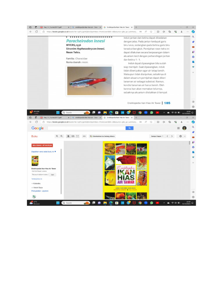 Jurnal Gambar Ikan Neon Tetra Pdf