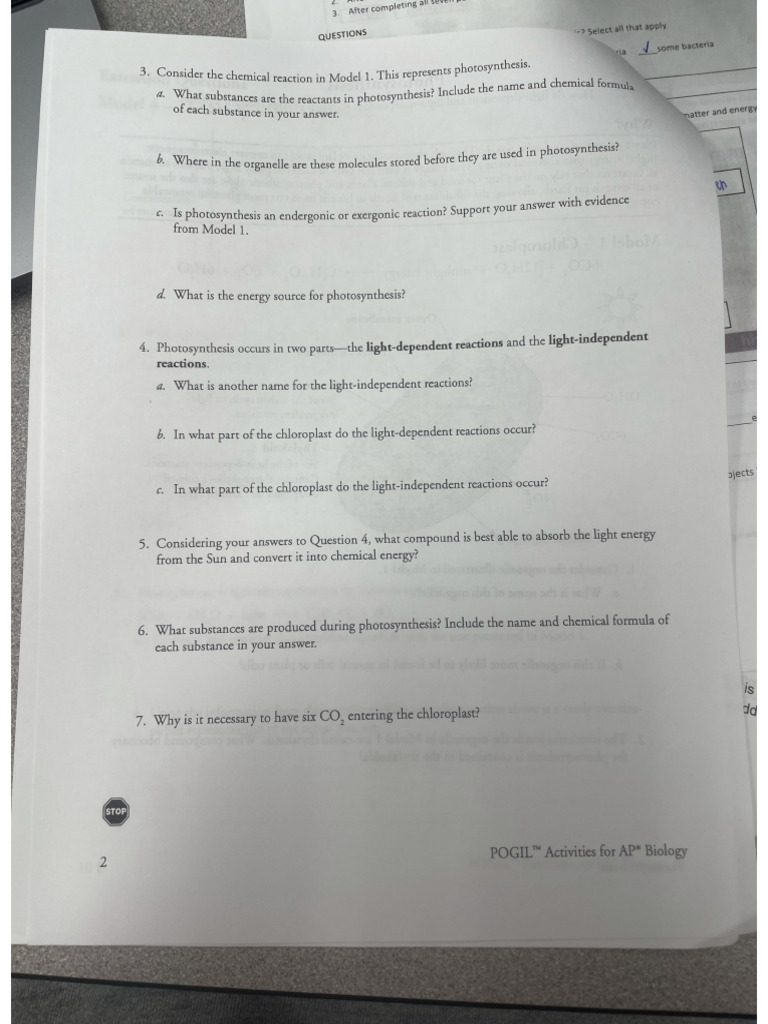 Photosynthesis Pogil | PDF