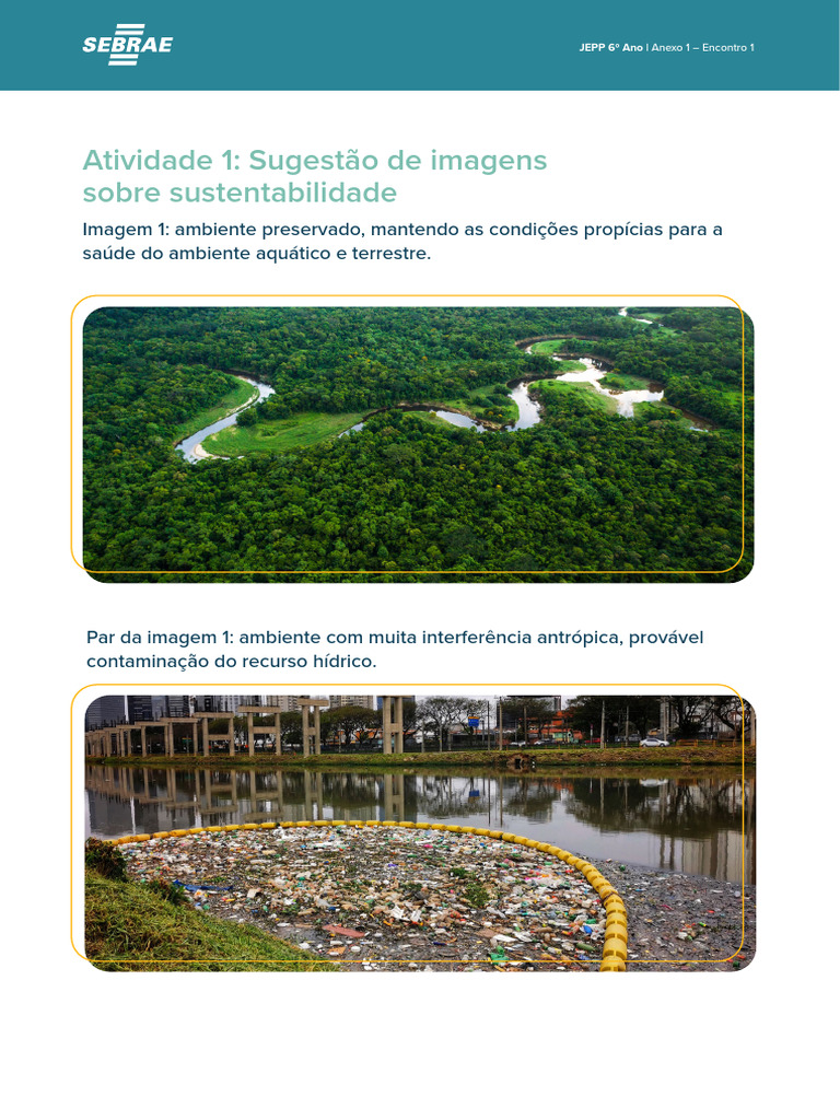 Sebrae Na Jepp Ano6 Encontro 01 Anexo 01 | PDF | Entorno natural ...