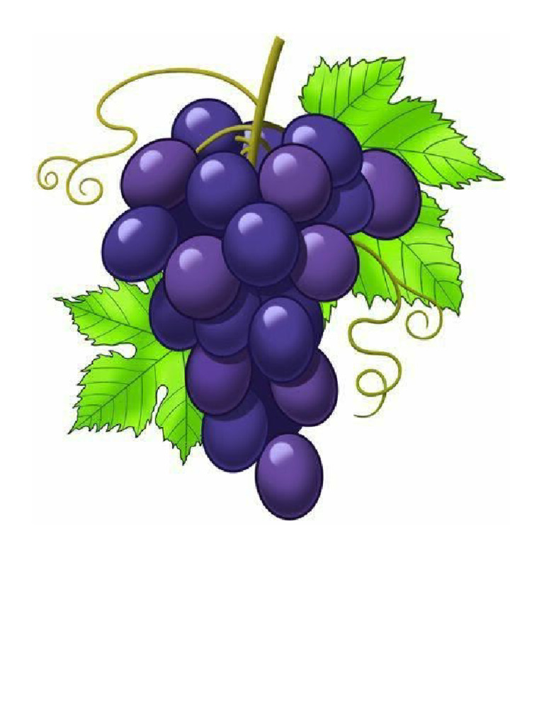 Fruits | PDF