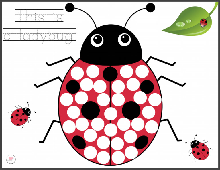 Ladybug Dot | PDF