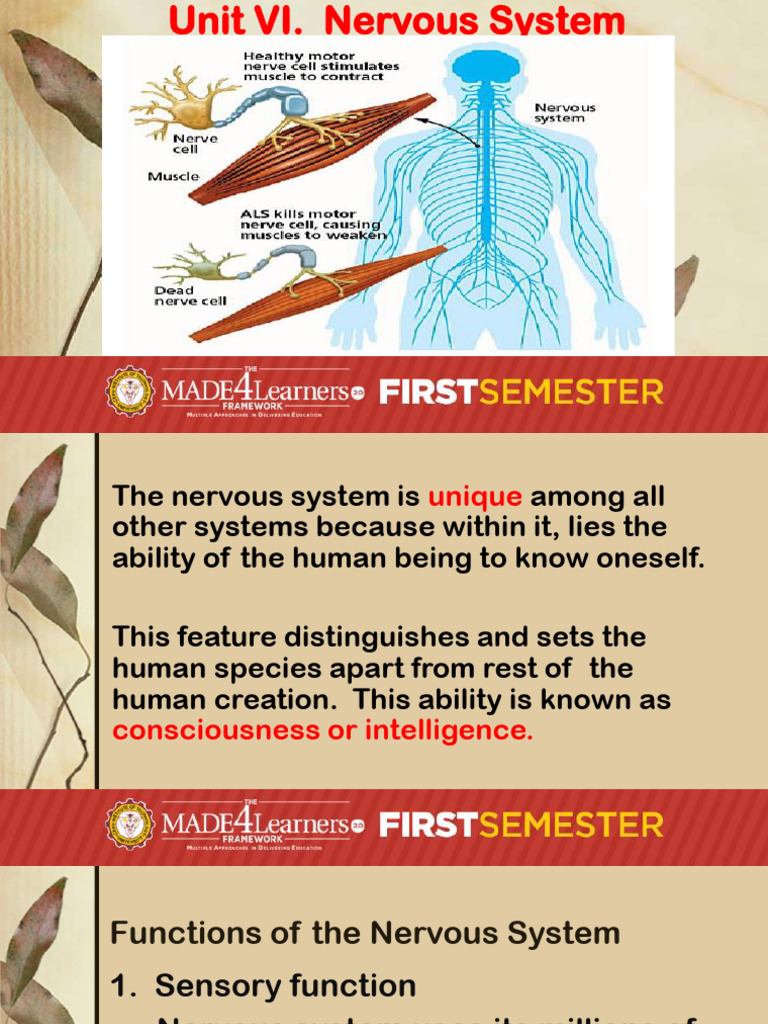 Unit-VI.-Nervous-System-and-Sense-Organs-1 | PDF
