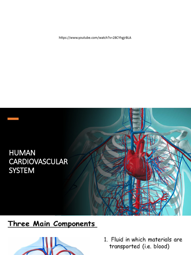 Unit 7. Cardiovascular System | PDF
