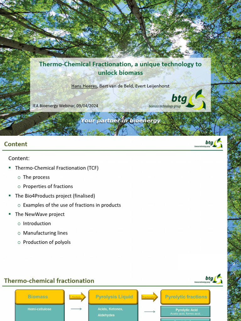 Thermo-Chemical Fractionation in Bioenergy | PDF | Pyrolysis ...