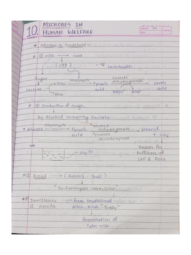 CH Microbes in Human Welfare Notes! | PDF