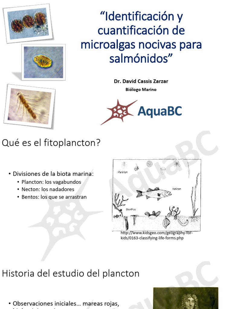 Curso de Microalgas | PDF