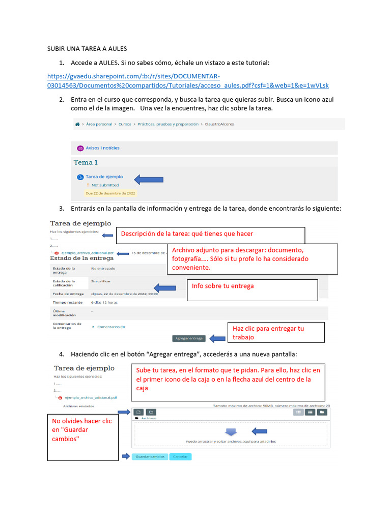 Subir Tarea en Aules | PDF