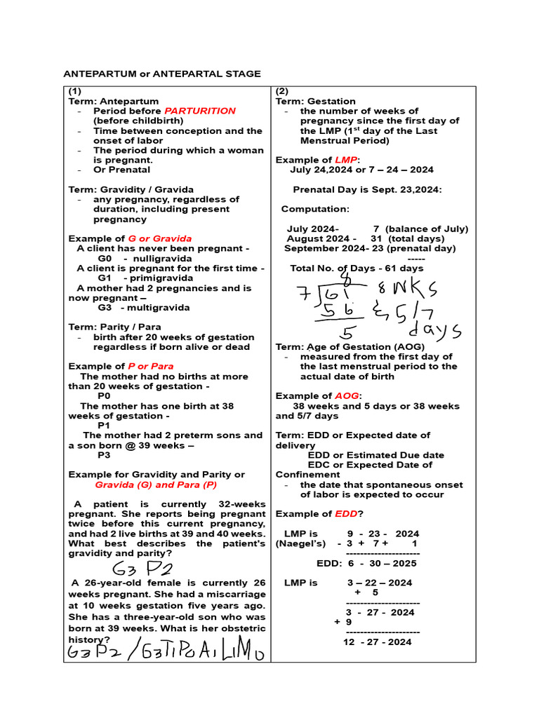 Antepartum Students Notes | PDF