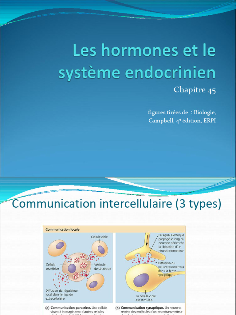 Bloc 2b - Les Hormones Et Le Système Endocrinien | PDF