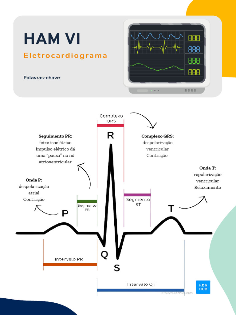 Resumo HAMVI N1 WladimirCourte | PDF