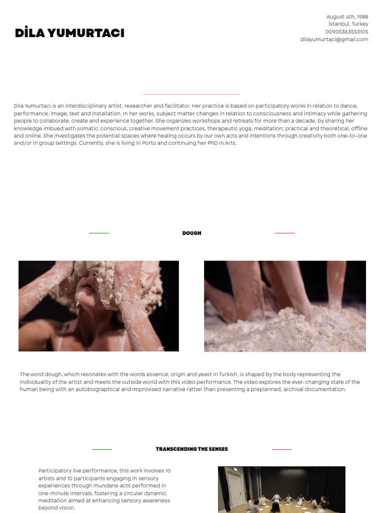 Dila Yumurtaci Portfolio | PDF