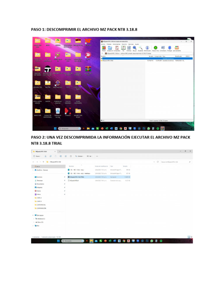 GUIA PASO A PASO DE INSTALACIÓN INDICADORES MZ PACK ORDER FLOW | PDF