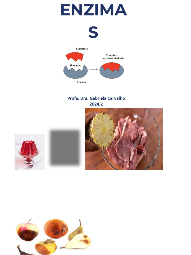 Aula 3 - Enzimas | PDF