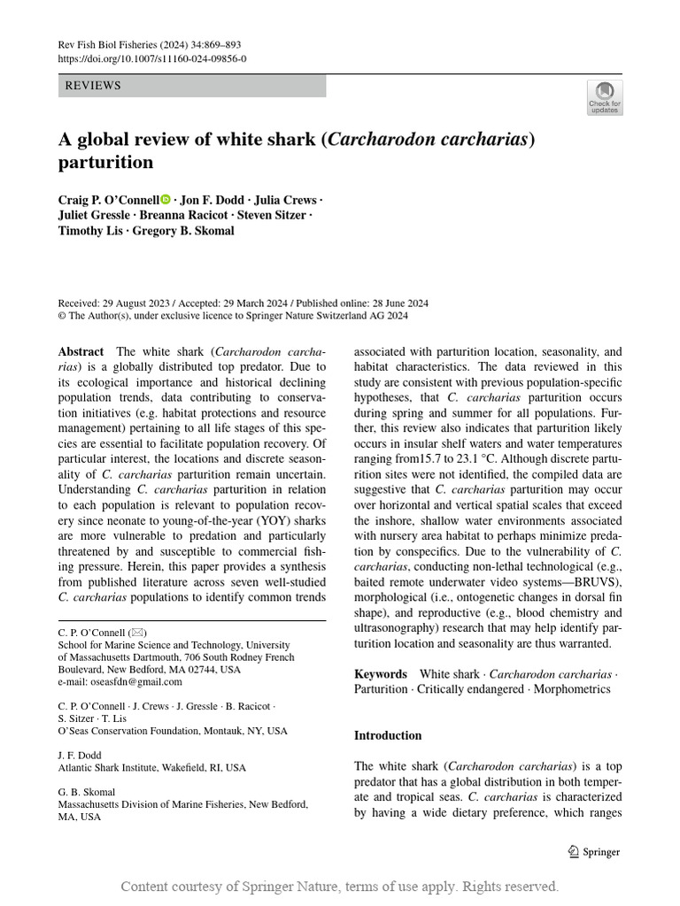 A Global Review of White Shark Carcharodon Carchar | PDF