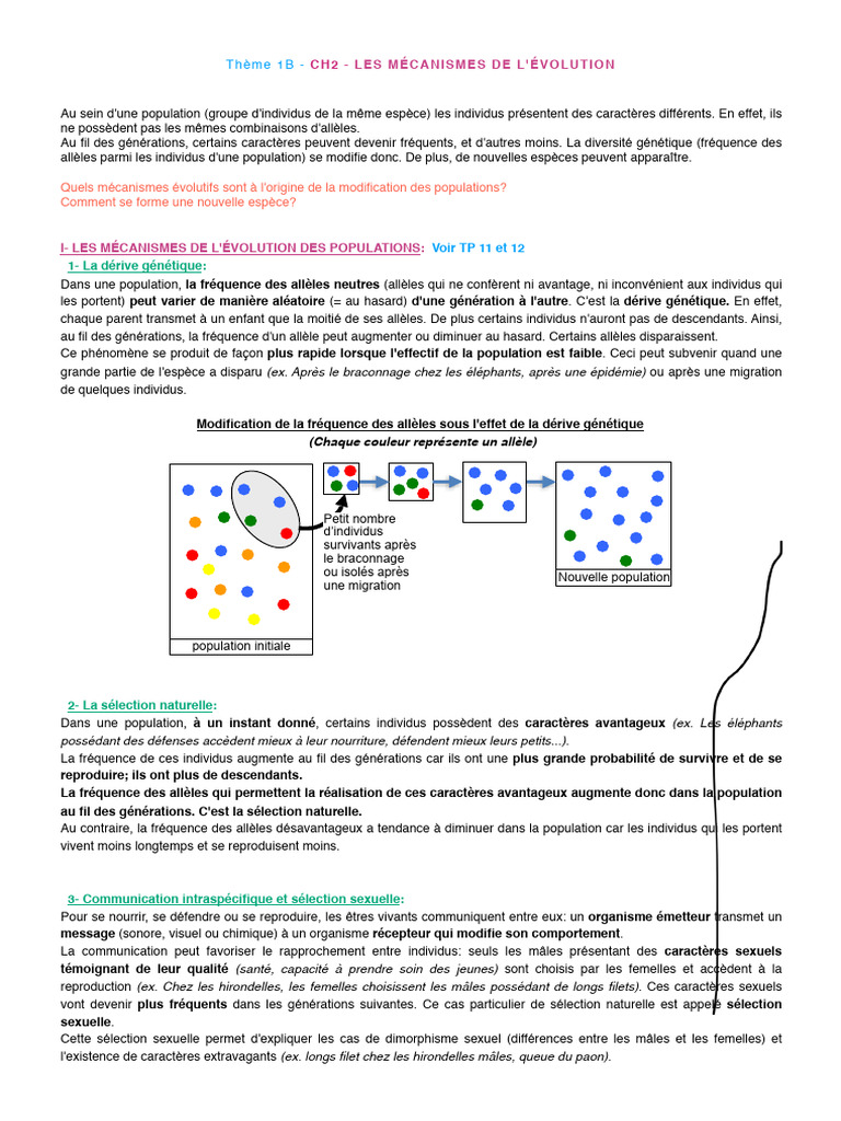 SVT Mã©canisme Ã©volution | PDF