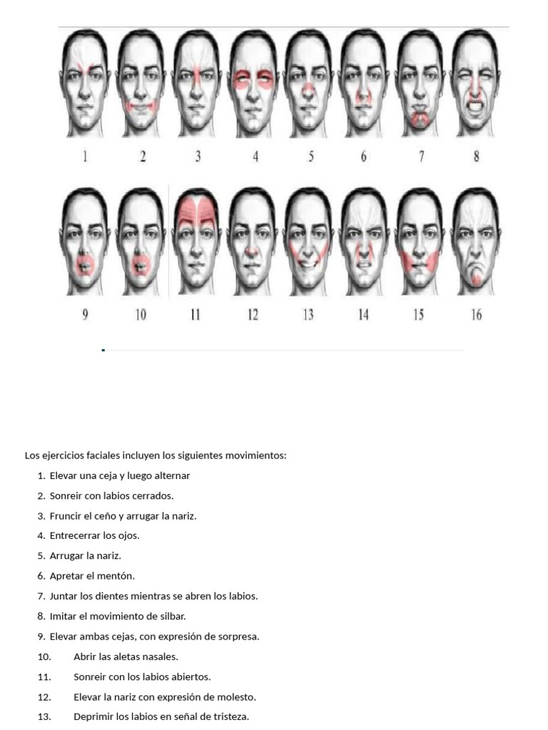 Ejercicios Paralisis Facial Pdf