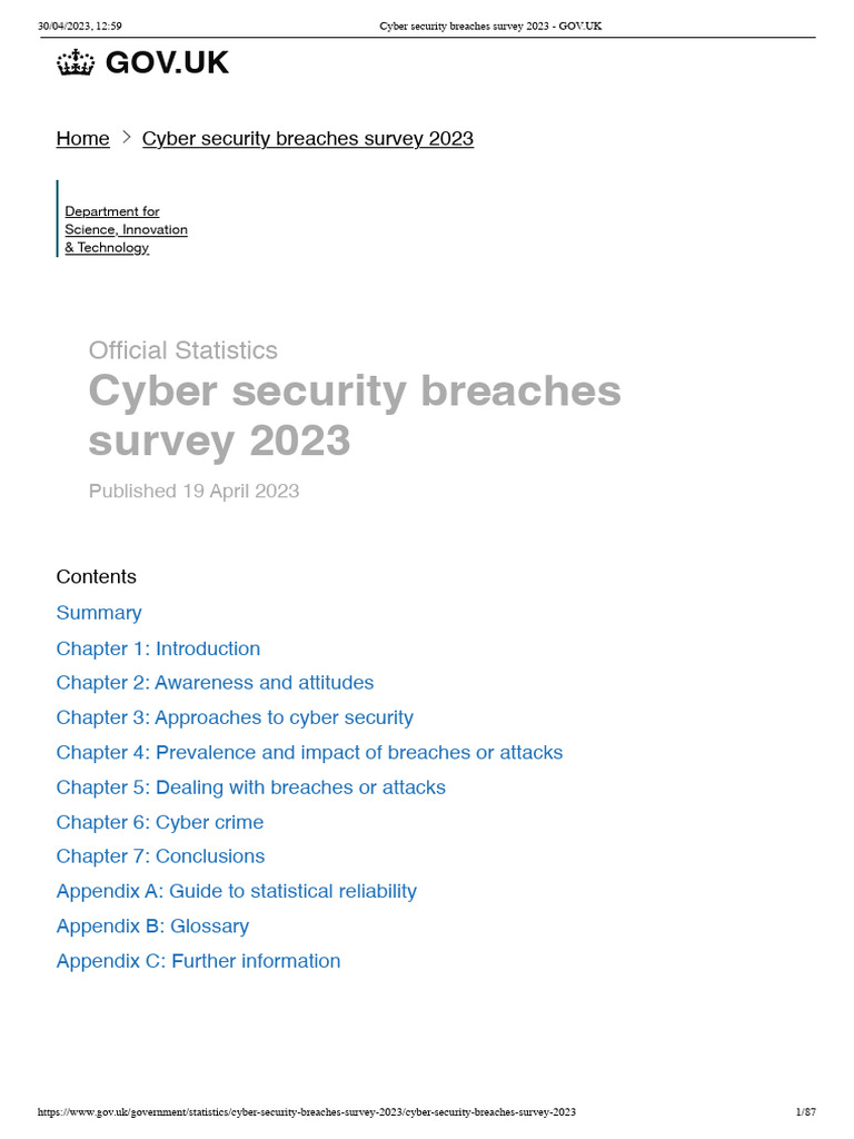 Cyber Security Breaches Survey 2023 | PDF