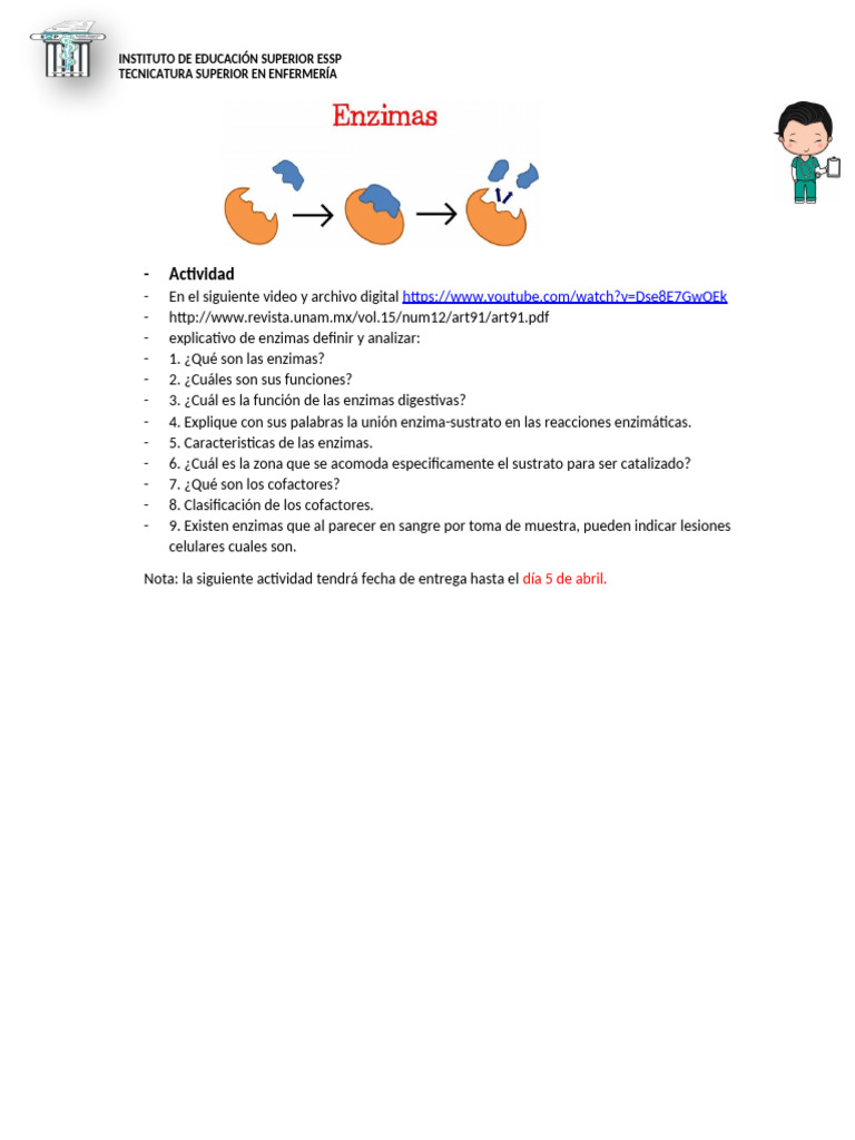 Actividad Enzima | PDF