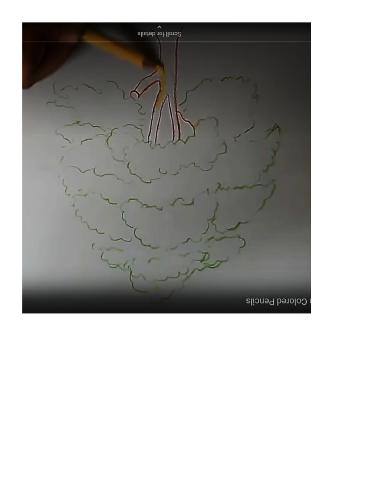 Basic Carpentry Drawing | PDF