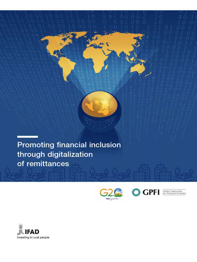 GPFI Paper 240704 P | PDF