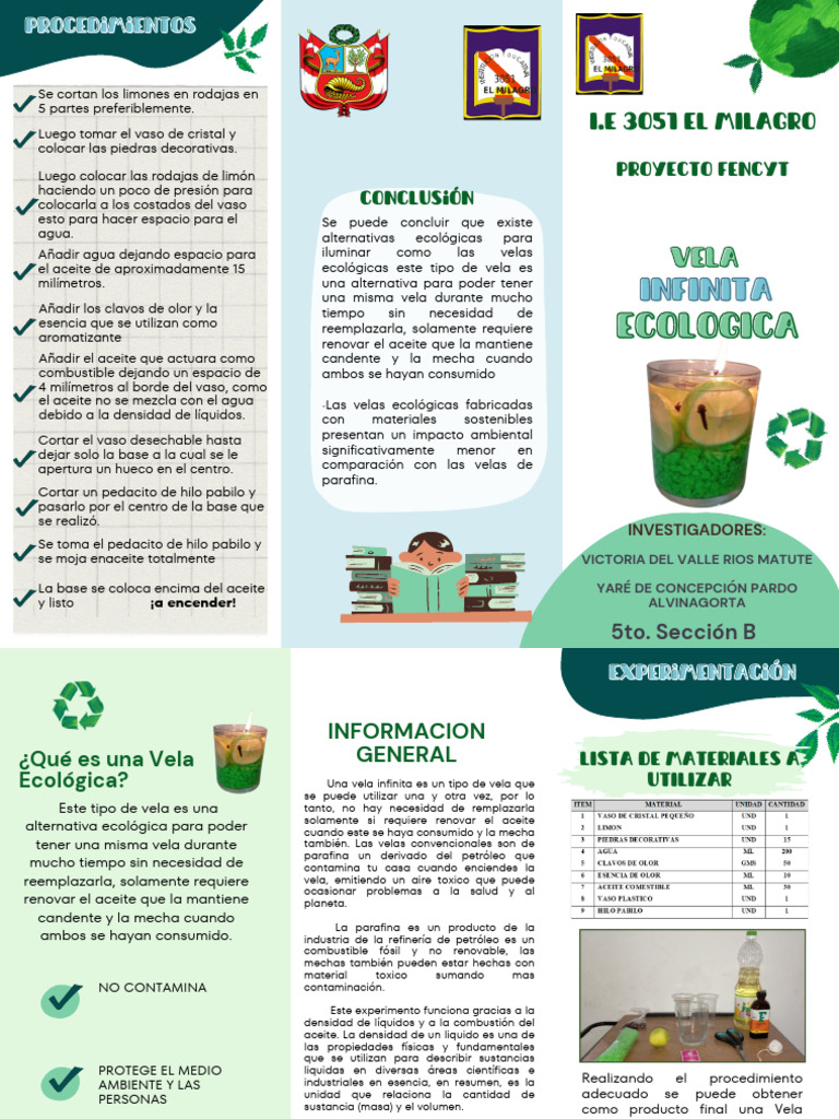 Triptico Final | PDF