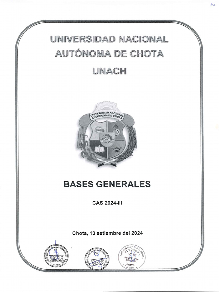 Bases Generales Cas 2024-III | PDF