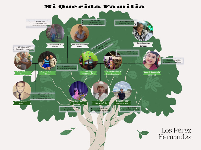 Grafico Árbol Genealógico de La Familia Ilustrativo Infantil Verde y ...