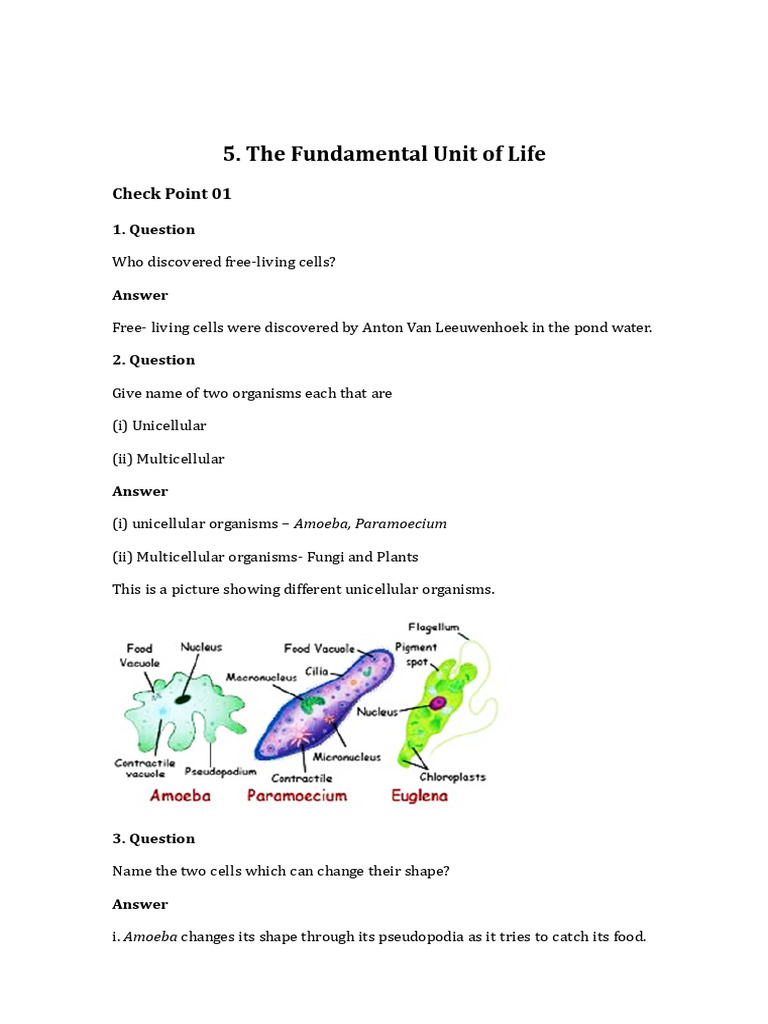 Selfstudys Com File | PDF