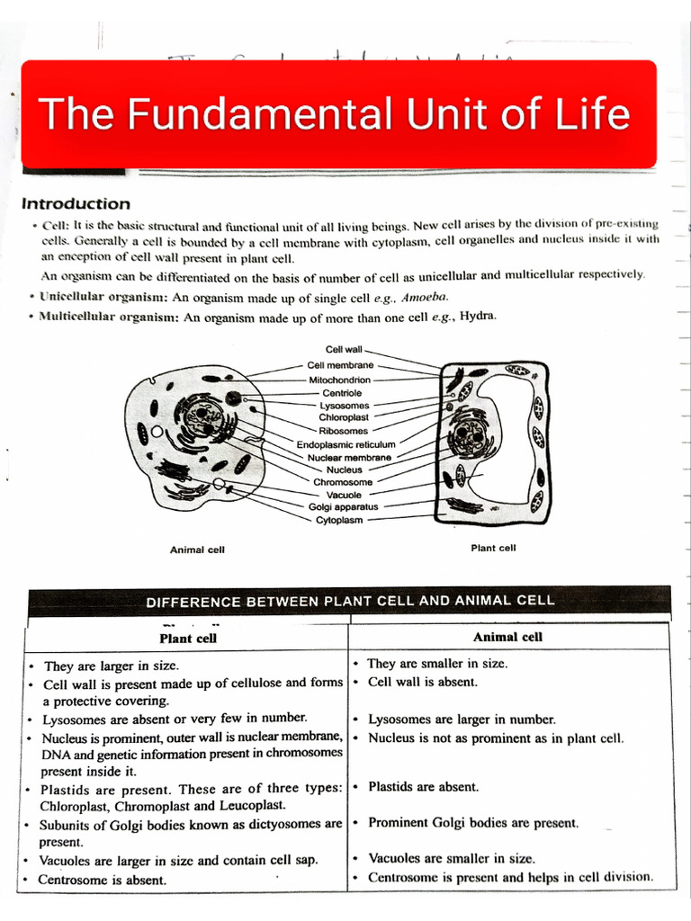 Fundamental Unit of Life | PDF